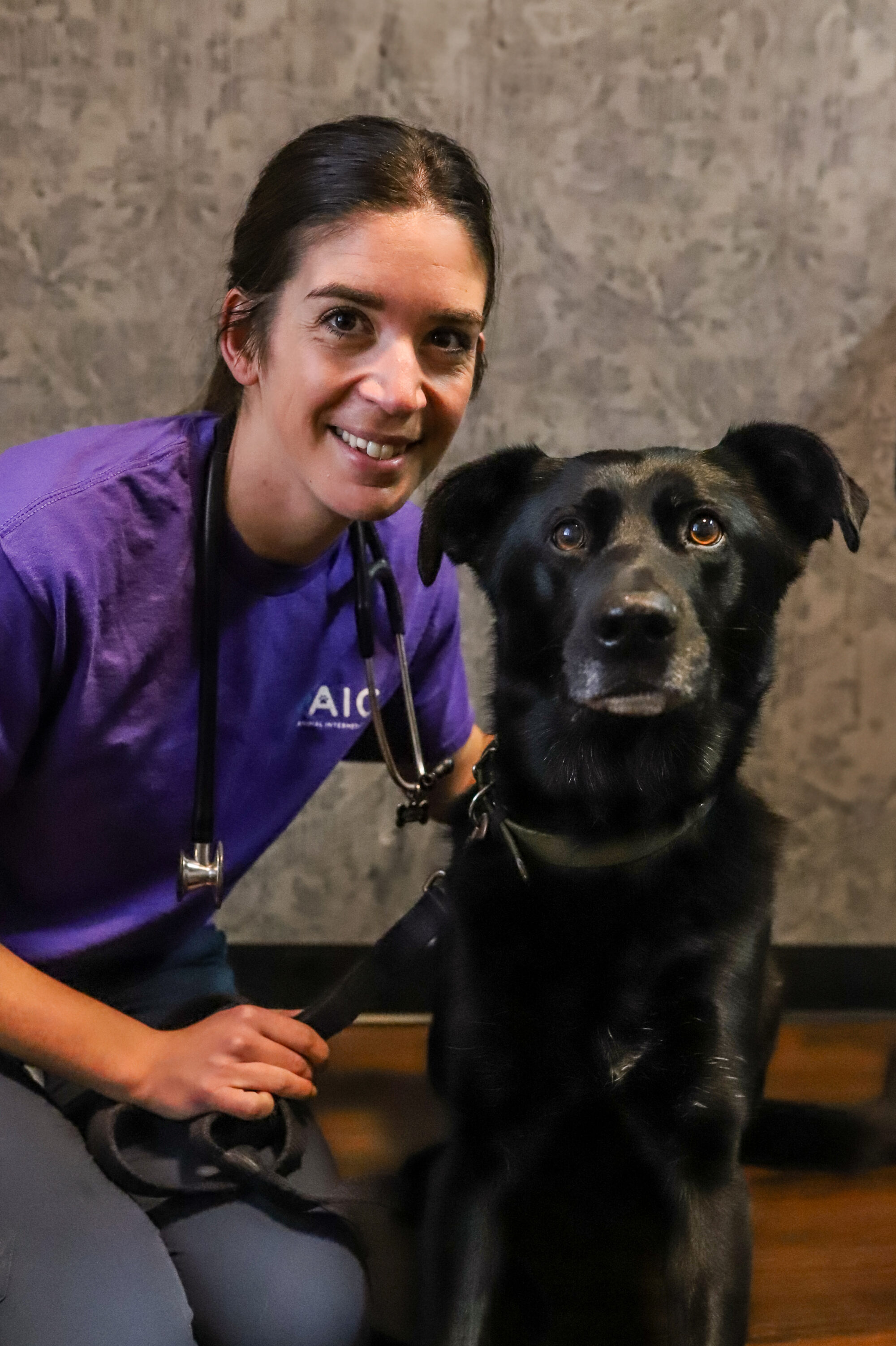 Our Team – Animal Intermediate Care
